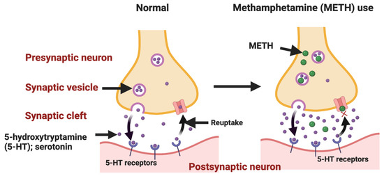 Tryptophan and Substance Abuse: Mechanisms and Impact