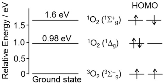 IJMS | Free Full-Text | Significance of Singlet Oxygen Molecule in ...