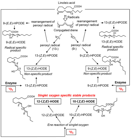 Significance of Singlet Oxygen Molecule in Pathologies