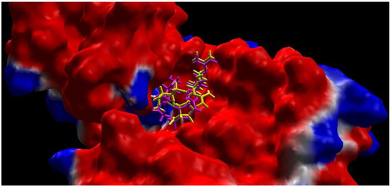 IJMS | Free Full-Text | Synthesis, In Silico Study, Antibacterial and ...
