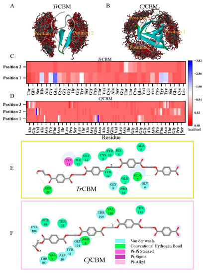 Construction of Fusion Protein with Carbohydrate-Binding Module and ...
