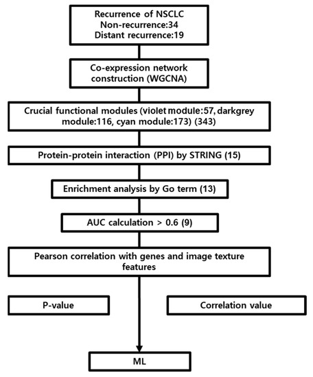 IJMS | Free Full-Text | Estimation of an Image Biomarker for Distant Recurrence Prediction in ...