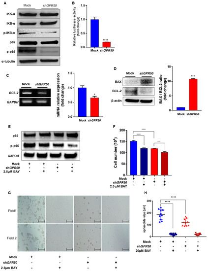 The Orphan GPR50 Receptor Regulates the Aggressiveness of Breast Cancer ...