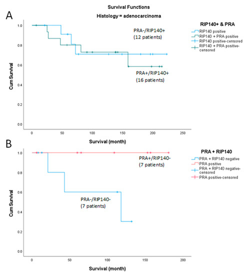 Expression of Progesterone Receptor A as an Independent Negative ...