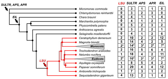 A Revised View of the LSU Gene Family: New Functions in Plant Stress ...