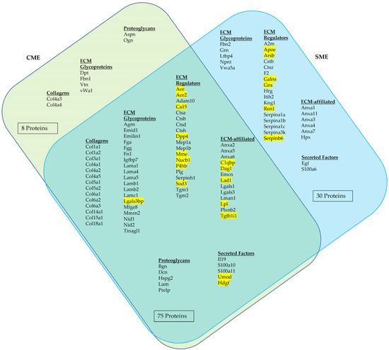 Deciphering the Kidney Matrisome: Identification and Quantification of ...