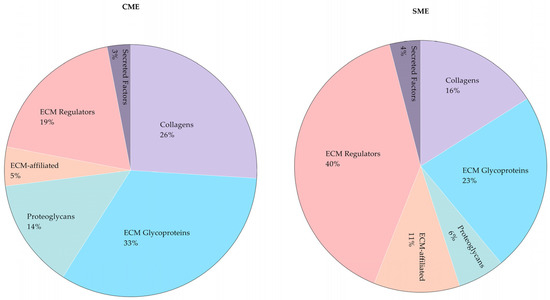 Deciphering the Kidney Matrisome: Identification and Quantification of ...