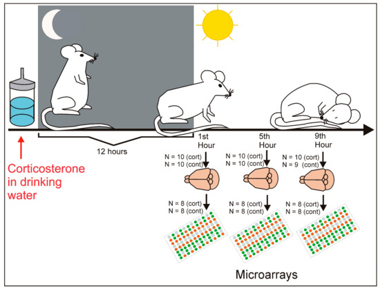 Overnight Corticosterone and Gene Expression in Mouse Hippocampus: Time ...