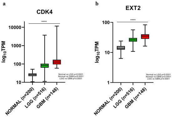 Insights into the Peritumoural Brain Zone of Glioblastoma: CDK4 and ...
