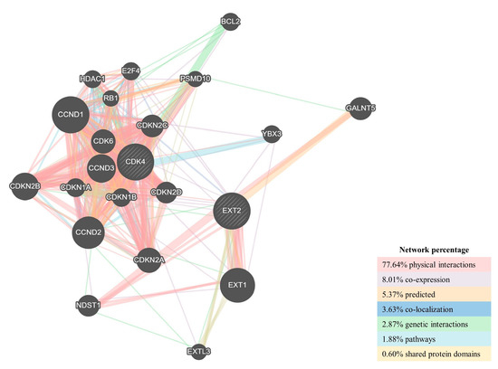 Insights into the Peritumoural Brain Zone of Glioblastoma: CDK4 and ...