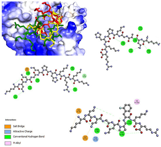 Interaction of Positively Charged Oligopeptides with Blood Plasma Proteins
