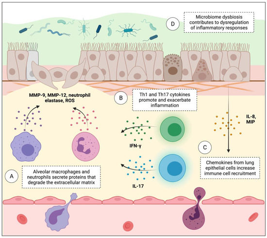 Mechanisms Contributing to the Comorbidity of COPD and Lung Cancer