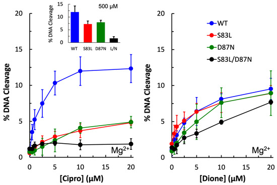 Role of the Water–Metal Ion Bridge in Quinolone Interactions with ...