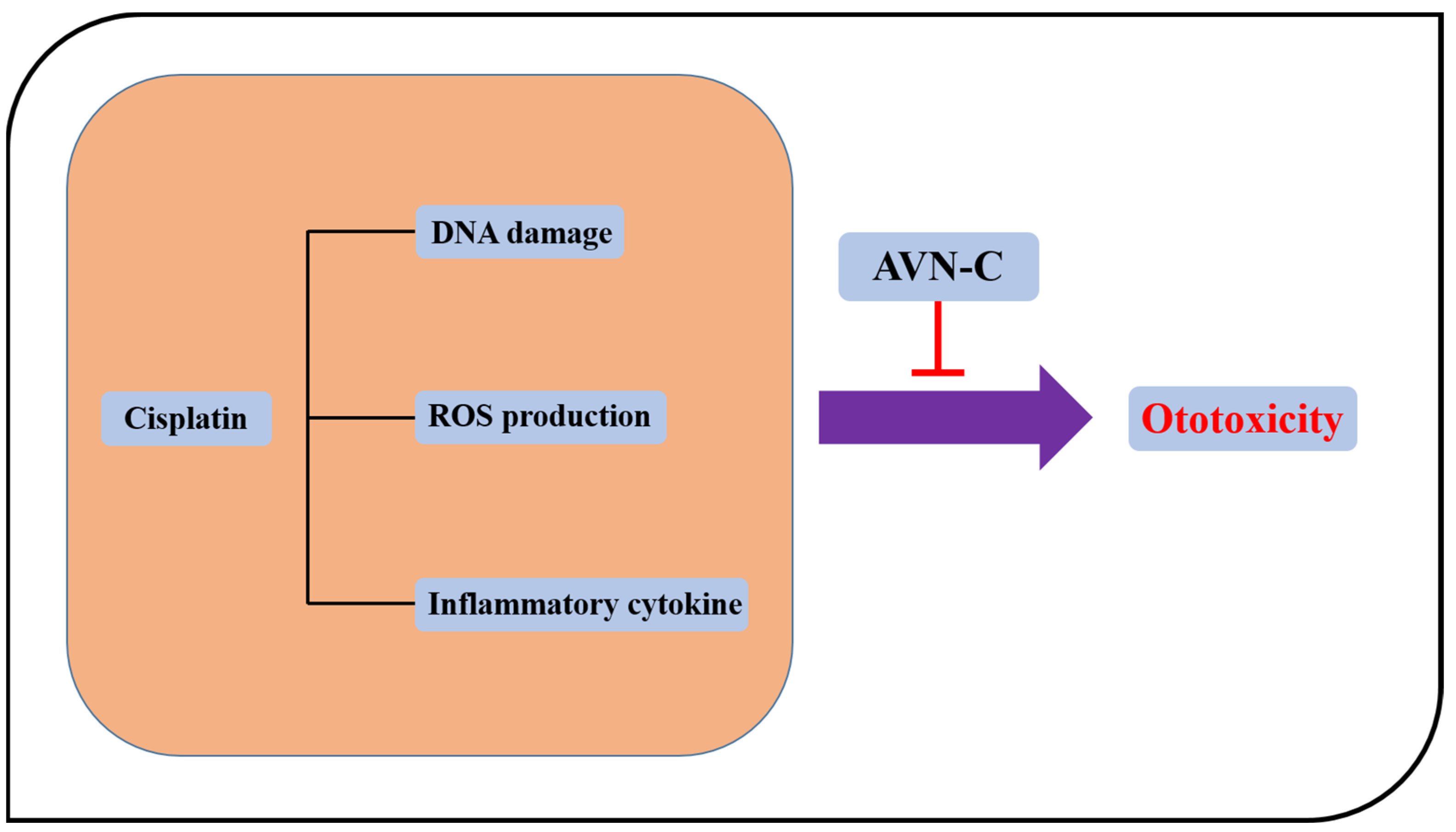 IJMS | Free Full-Text | Protective Effect of Avenanthramide-C on ...