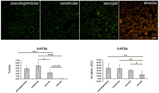 Expression Patterns of Serotonin Receptors 5-HT1A, 5-HT2A, and 5-HT3A ...