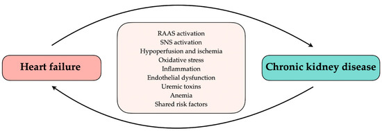 Chronic Kidney Disease as a Comorbidity in Heart Failure