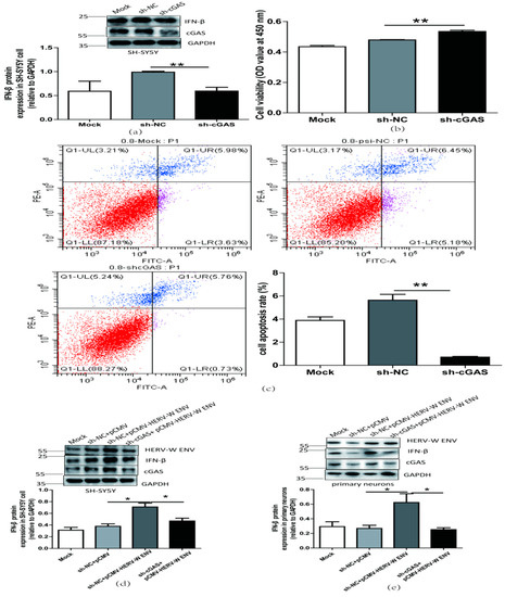 HERV-W ENV Induces Innate Immune Activation and Neuronal Apoptosis via ...