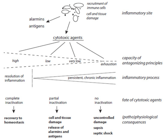 IJMS | Free Full-Text | Host-Derived Cytotoxic Agents in Chronic ...