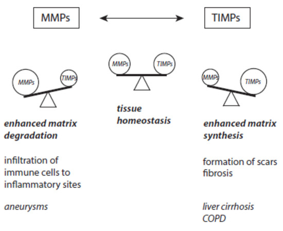 IJMS | Free Full-Text | Host-Derived Cytotoxic Agents in Chronic ...