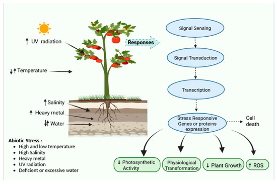 Genomics, Proteomics, and Metabolomics Approaches to Improve Abiotic ...