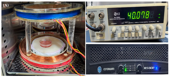 Reduction of Osteoclastic Differentiation of Raw 264.7 Cells by EMF ...