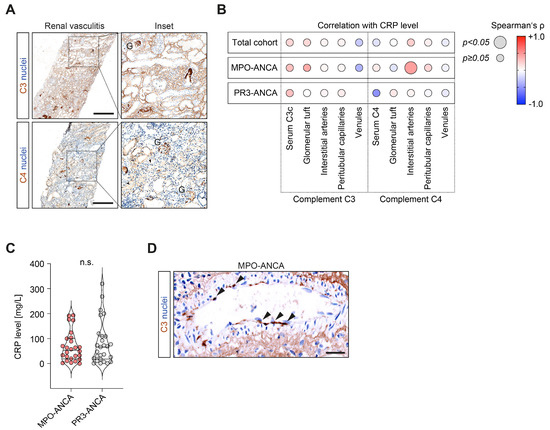 IJMS | Free Full-Text | C-Reactive Protein Levels Are Associated with ...
