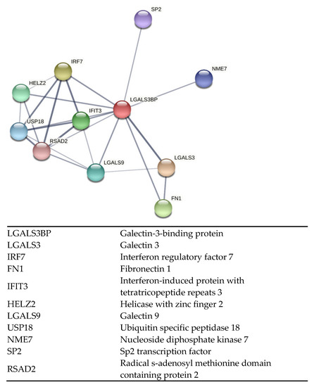Transfer of Galectin-3-Binding Protein via Epididymal Extracellular ...