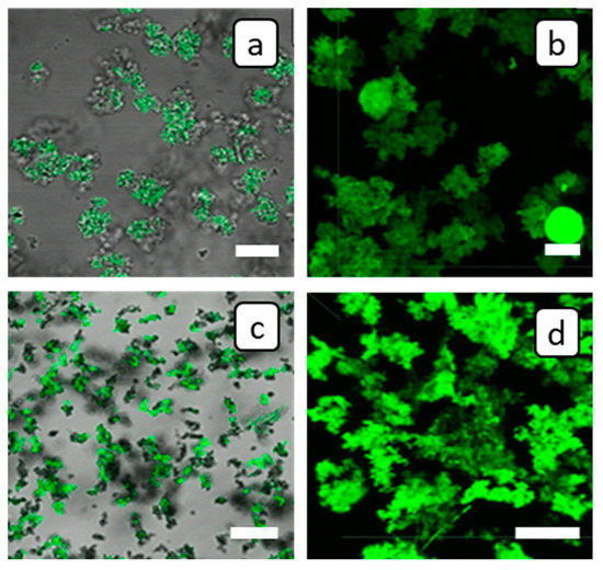 Fluorescent-Tagged Antiscalants—The New Materials for Scale Inhibition ...