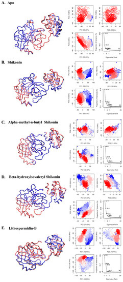 IJMS | Free Full-Text | Unveiling the Potentiality of Shikonin Derivatives Inhibiting SARS-CoV-2 ...