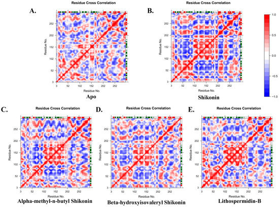 IJMS | Free Full-Text | Unveiling the Potentiality of Shikonin Derivatives Inhibiting SARS-CoV-2 ...