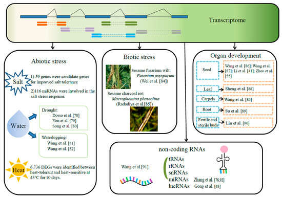 Current Progress, Applications and Challenges of Multi-Omics Approaches ...