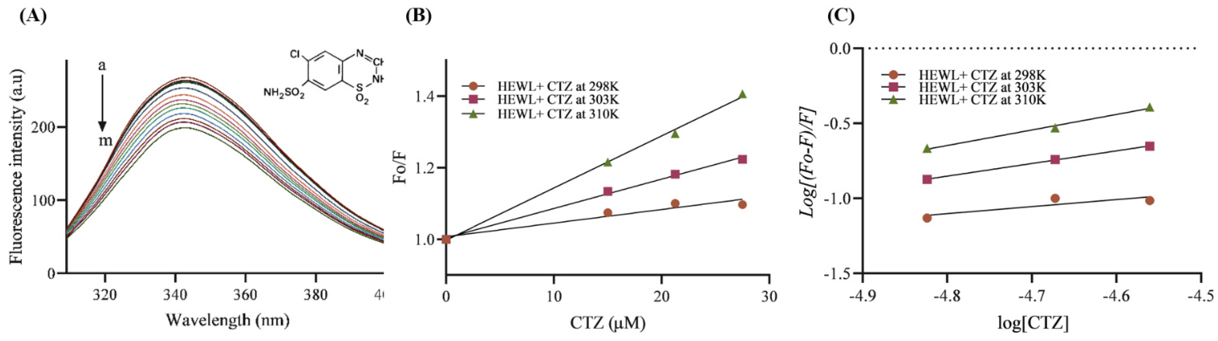 IJMS | Free Full-Text | Effect of Antihypertensive Drug (Chlorothiazide ...