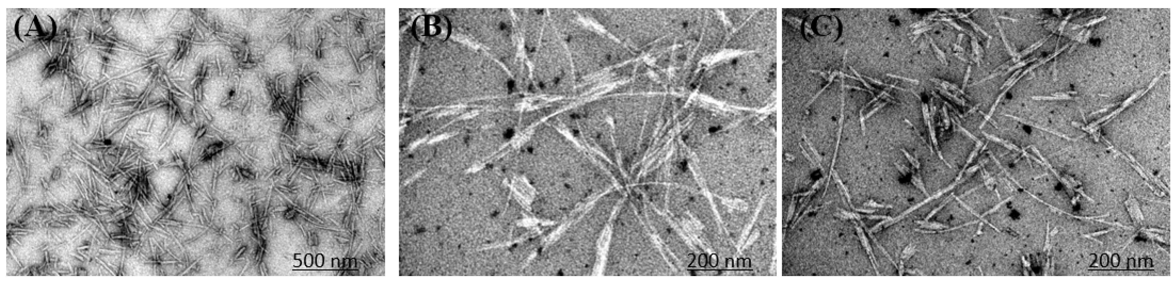 IJMS | Free Full-Text | Effect of Antihypertensive Drug (Chlorothiazide ...