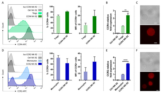 IJMS | Free Full-Text | Efficient Redirection of NK Cells by Genetic ...