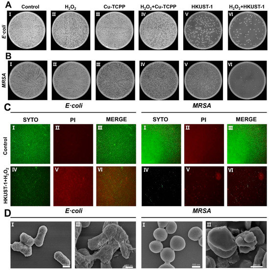 Different Dimensional Copper-Based Metal–Organic Frameworks with Enzyme ...