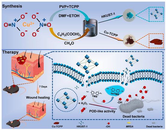 Different Dimensional Copper-Based Metal–Organic Frameworks with Enzyme ...