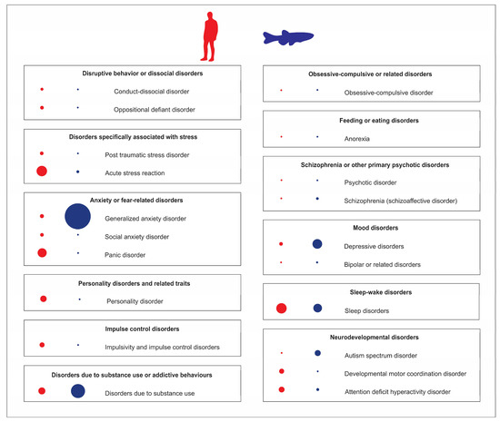Current State of Modeling Human Psychiatric Disorders Using Zebrafish