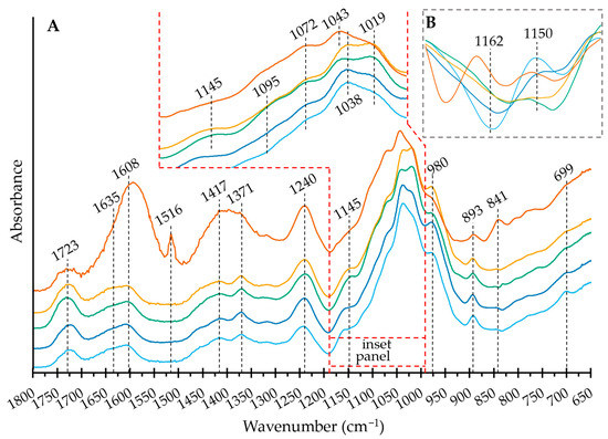 Neutral and Pectic Heteropolysaccharides Isolated from Opuntia ...