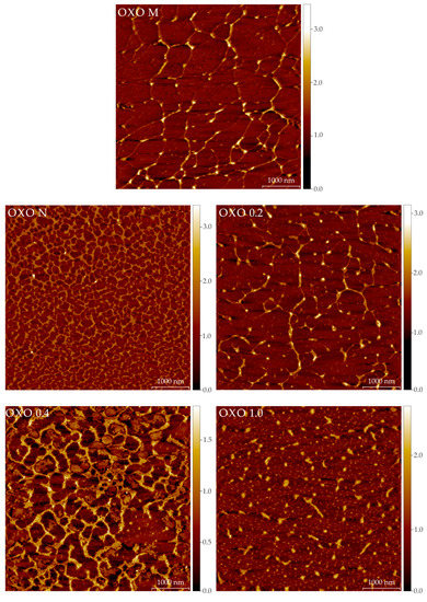Neutral and Pectic Heteropolysaccharides Isolated from Opuntia ...