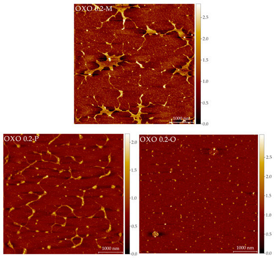 Neutral and Pectic Heteropolysaccharides Isolated from Opuntia ...