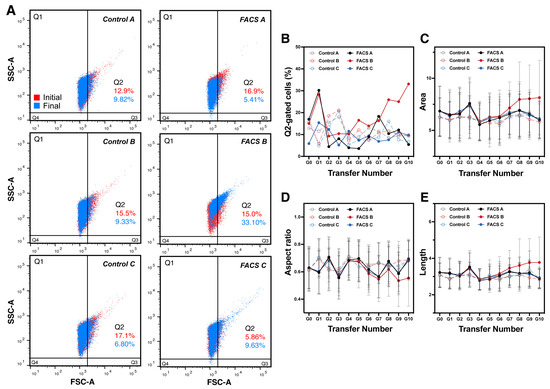 Cell Sorting-Directed Selection of Bacterial Cells in Bigger Sizes ...