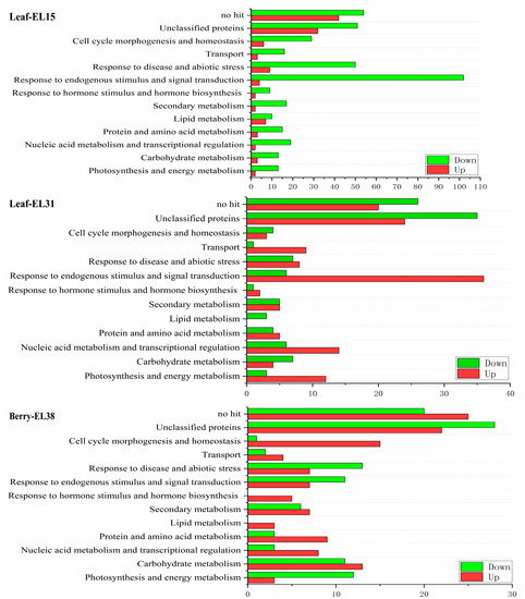 Integrated Transcriptome and Metabolome Dissecting Interaction between Vitis vinifera L. and ...