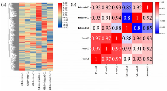 Integrated Transcriptome and Metabolome Dissecting Interaction between ...