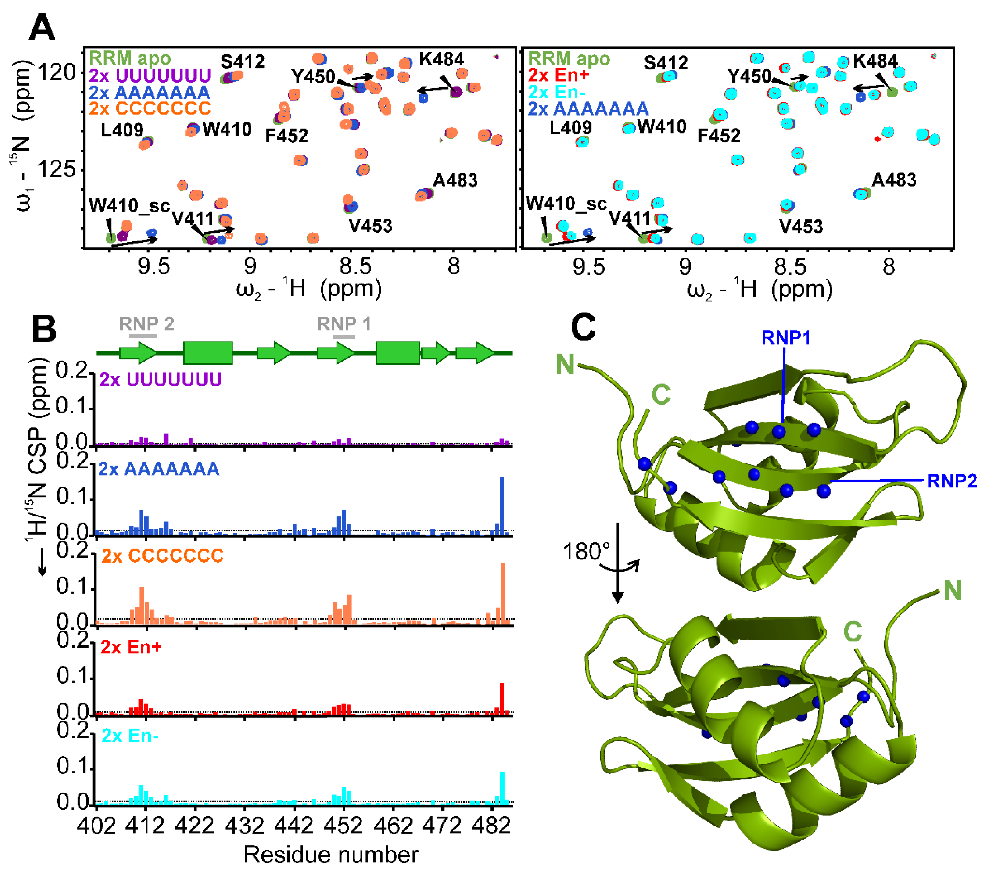 IJMS | Free Full-Text | Insight into the Structural Basis for Dual ...