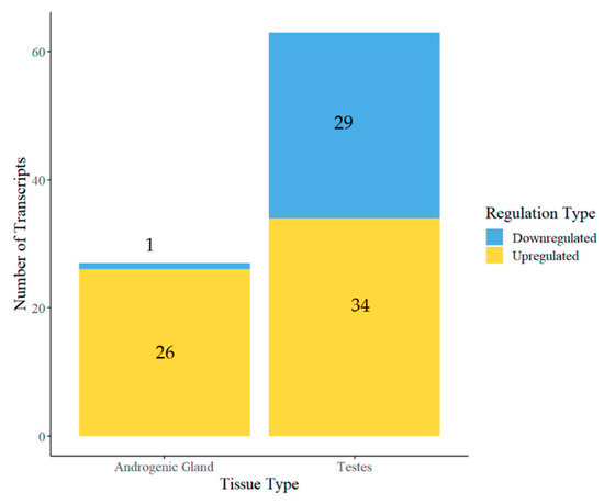 Transcriptomic Changes Following Induced De-Masculinisation of ...