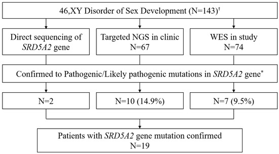 The Genotype-Phenotype Correlation in Human 5α-Reductase Type 2 ...