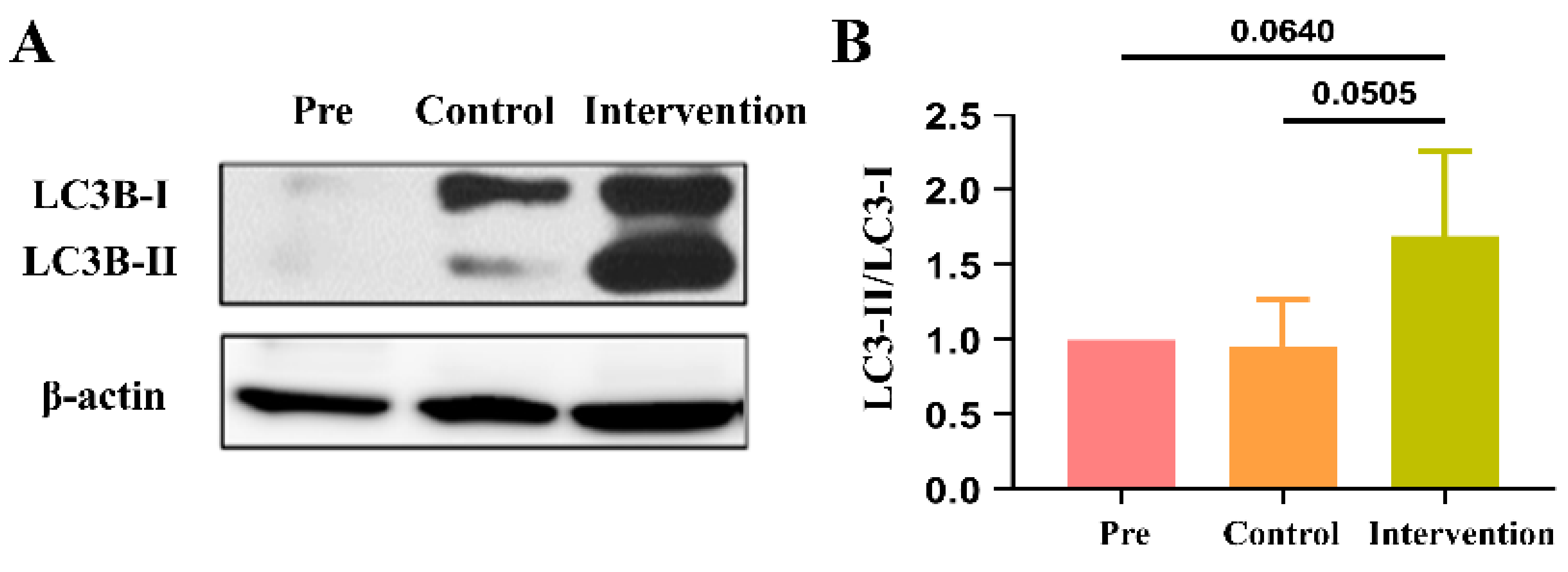IJMS | Free Full-Text | Sirolimus-Embedded Silk Microneedle Wrap to ...
