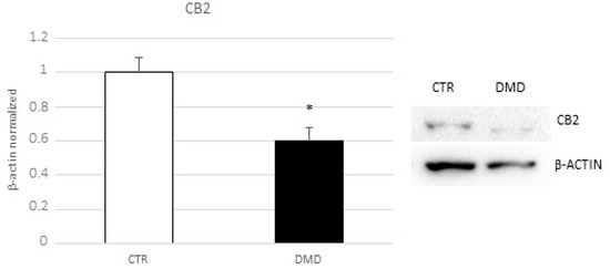 IJMS | Free Full-Text | CB2 Receptor as Emerging Anti-Inflammatory ...