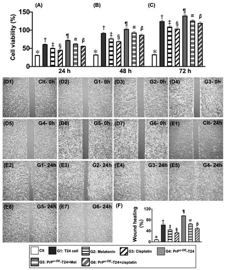 Melatonin-Assisted Cisplatin Suppresses Urinary Bladder Cancer Cell Proliferation and Growth ...