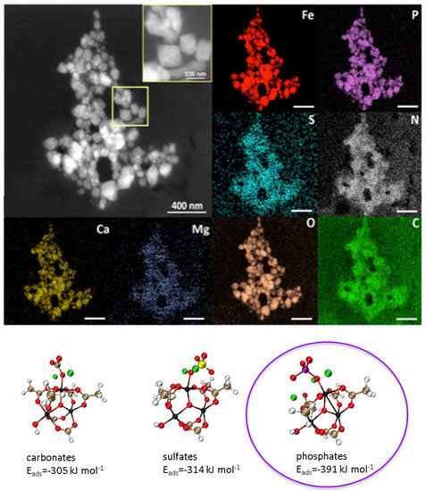 Nanoscale Iron-Based Metal–Organic Frameworks: Incorporation of Functionalized Drugs and ...